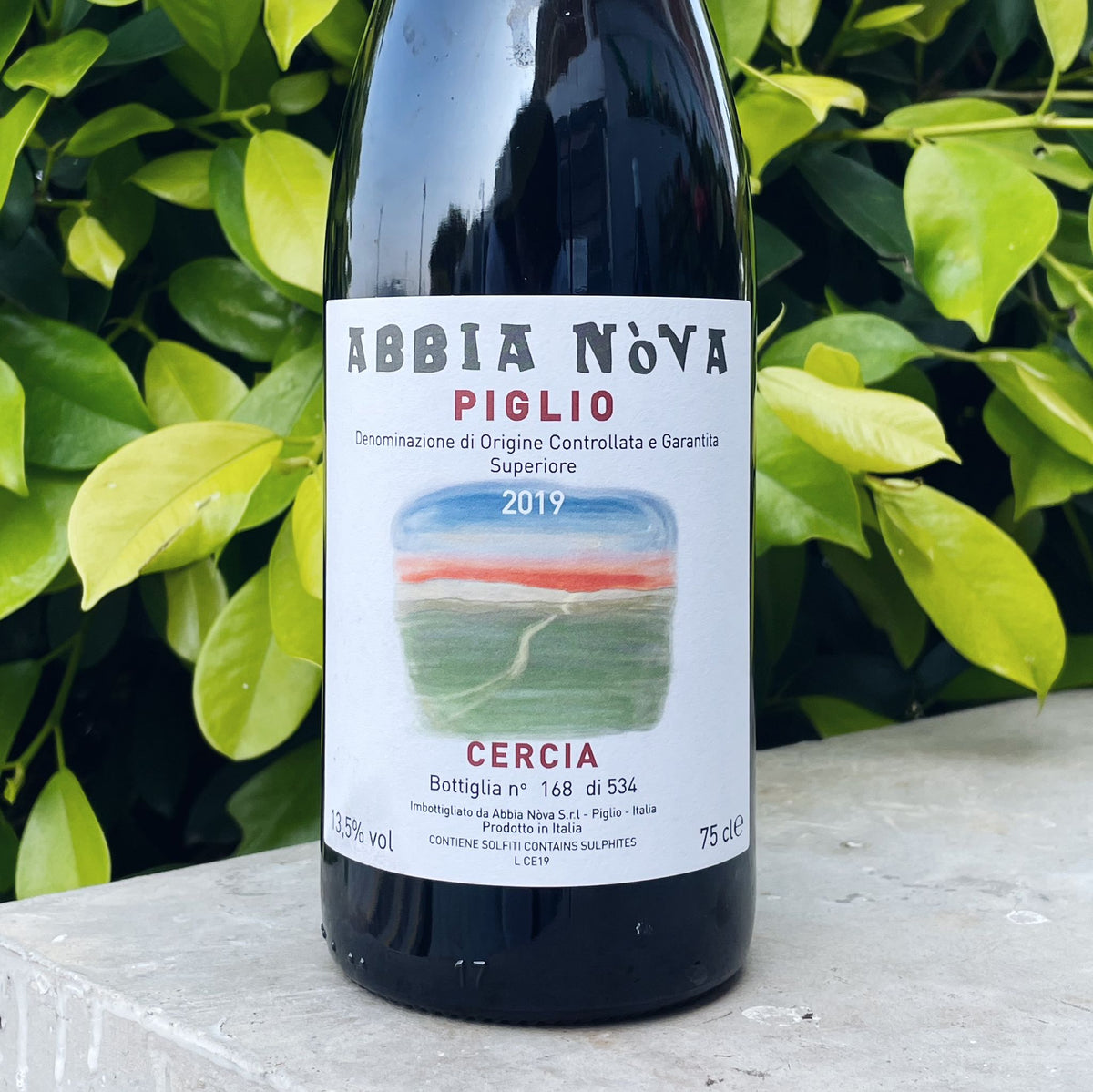 2019 Piglio DOCG Superiore, Cercia (single vineyard red) – DECO Wines